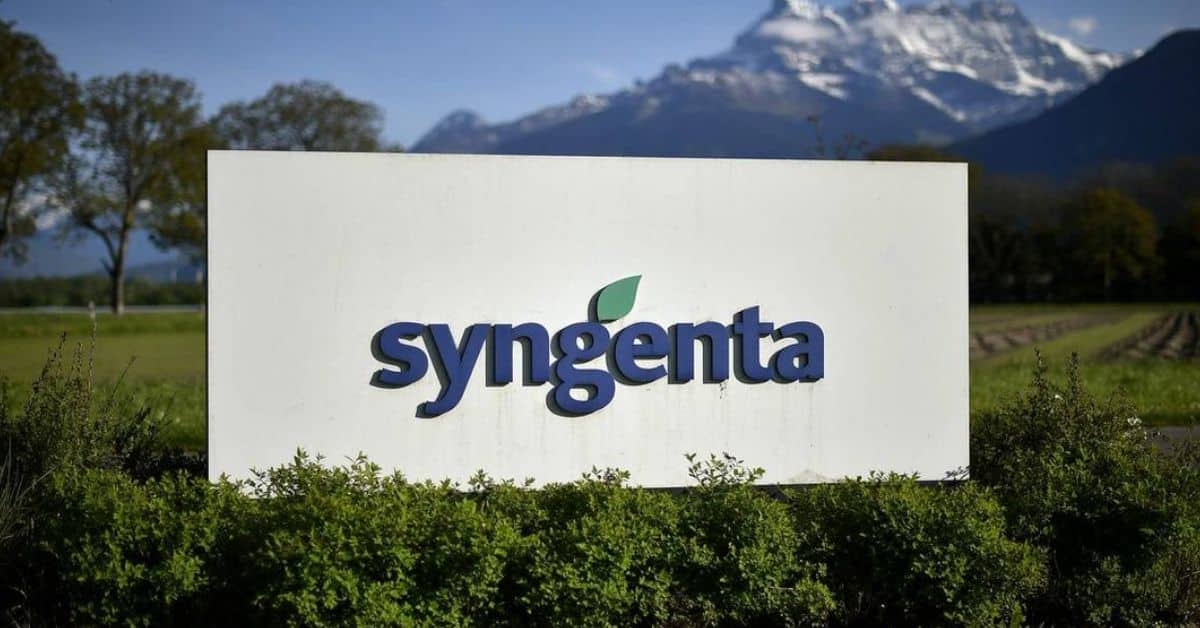 Syngenta casestudie casestudie